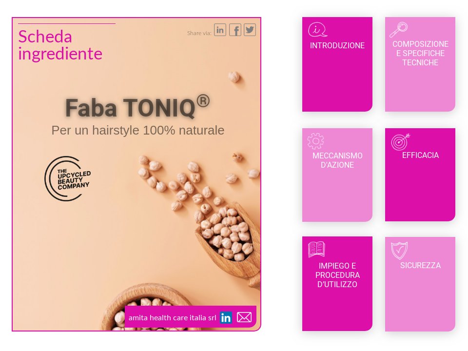 AmitaHC - Faba TONIQ® - Scheda ingrediente - BEAUTY HORIZONS 4 2023 ITA